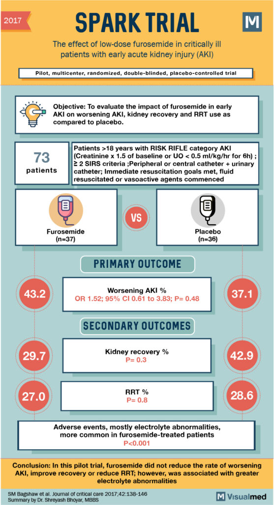 SPARK Trial Summary: Furosemide in critically ill patients with early ...