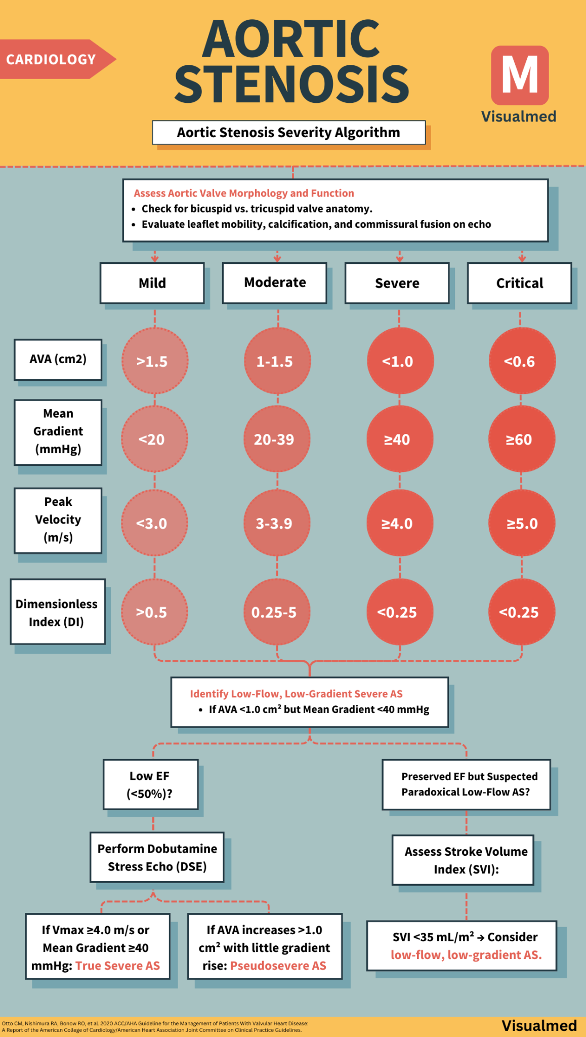 Aortic Stenosis Severity Algorithm – Visualmed: Clinical Trials