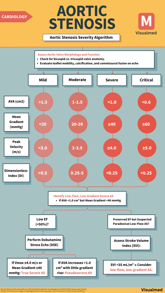 Aortic Stenosis Severity Algorithm – Visualmed: Clinical Trials