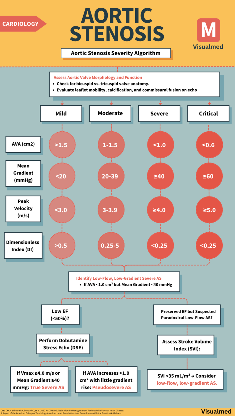 Aortic Stenosis Severity Algorithm – Visualmed: Clinical Trials