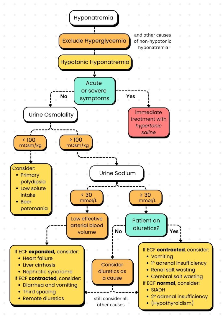 Hyponatremia Management Algorithm – Visualmed: Clinical Trials